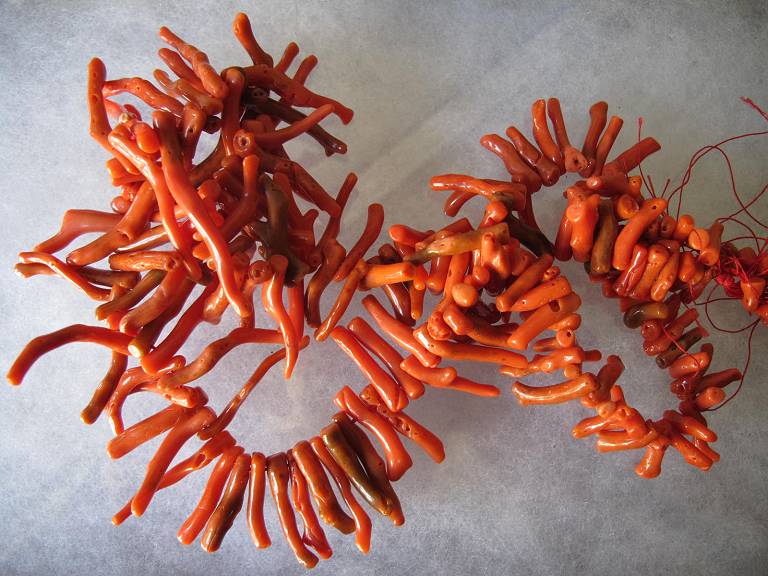 Alexandre Import Nature - CORAIL ROUGE (TYPE 5) - Pierres percées ...